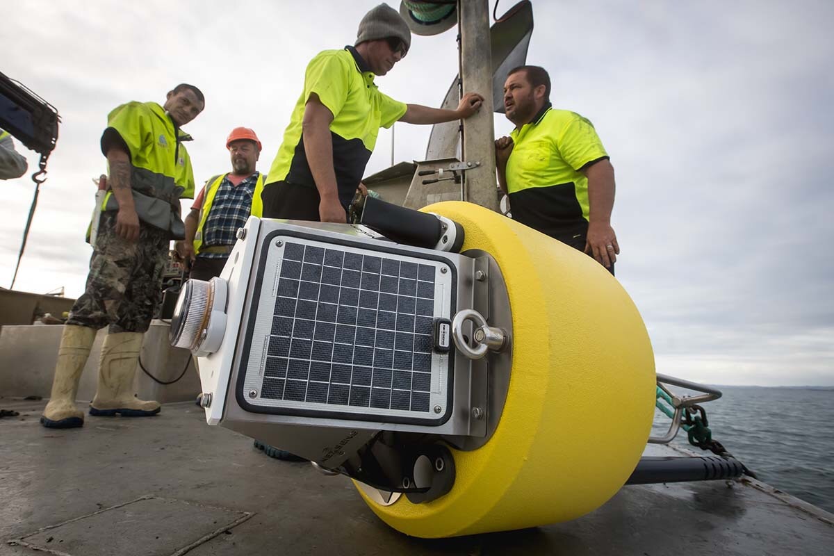 Data buoy provides salinity monitoring for mussel farm compliance